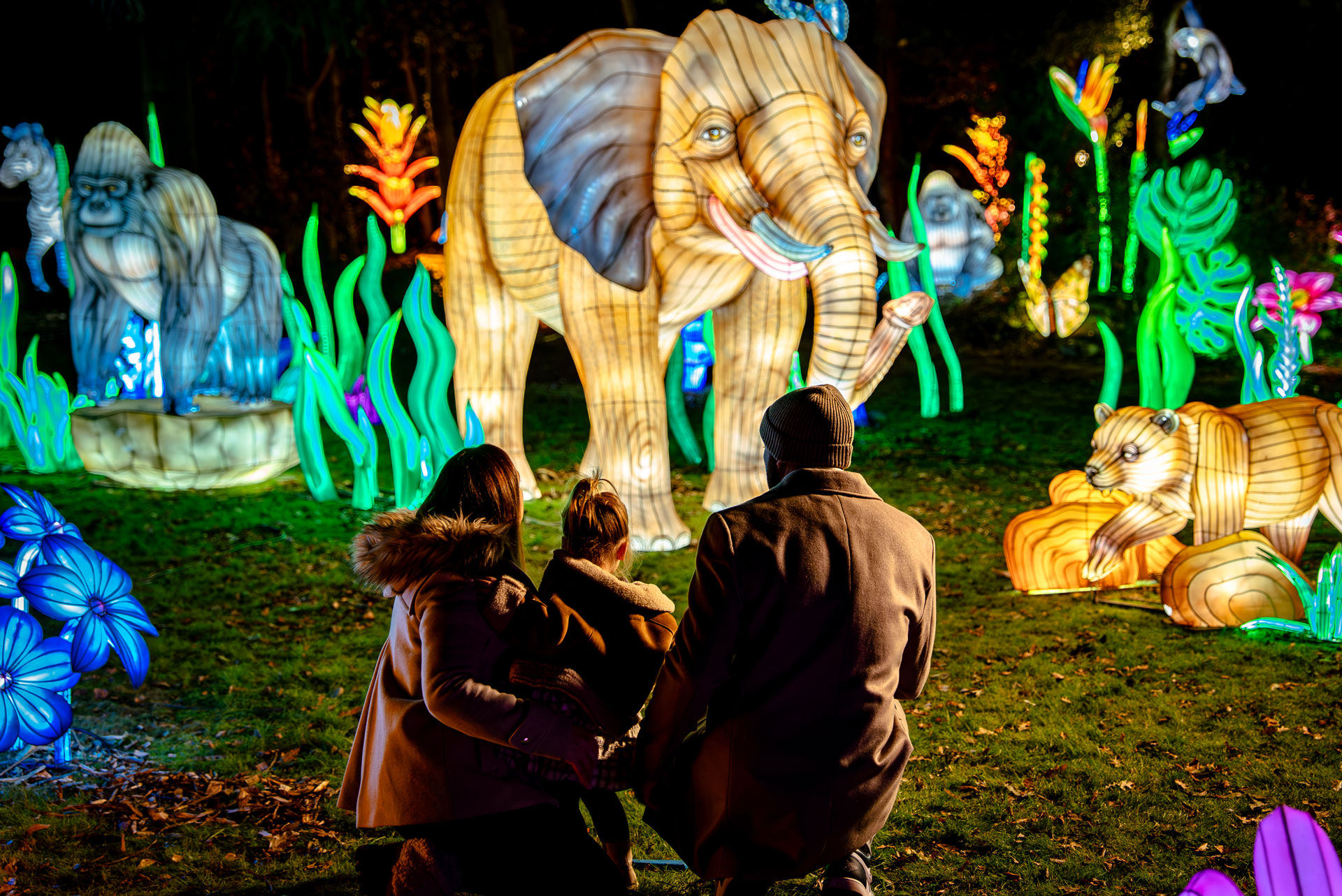 Lanterns of the Wild New Christmas Event at Twycross Zoo