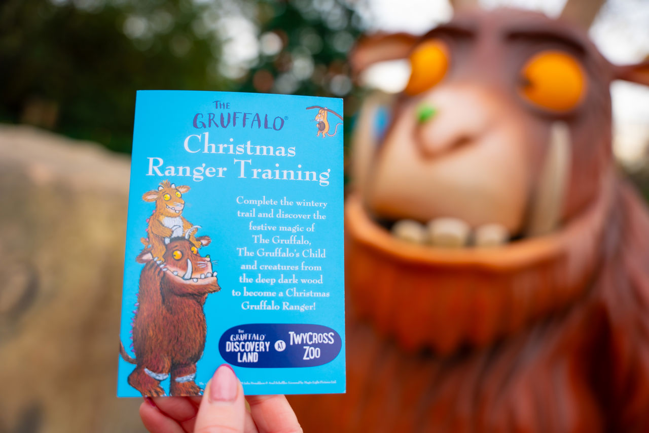 Christmas at The Gruffalo Discovery Land