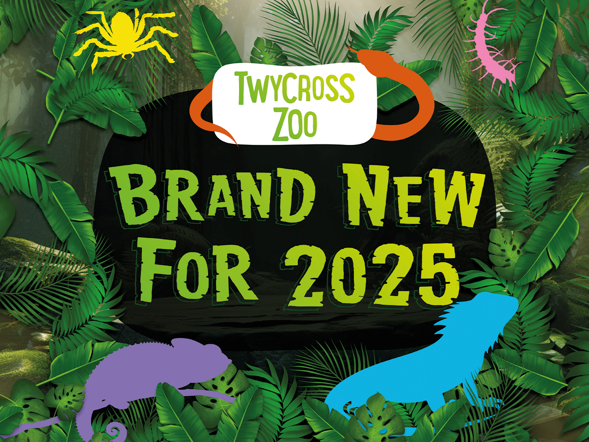 Twycross Zoo & The Gruffalo Discovery Land