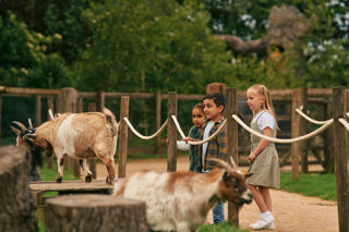 The Gruffalo Discovery Land at Twycross Zoo