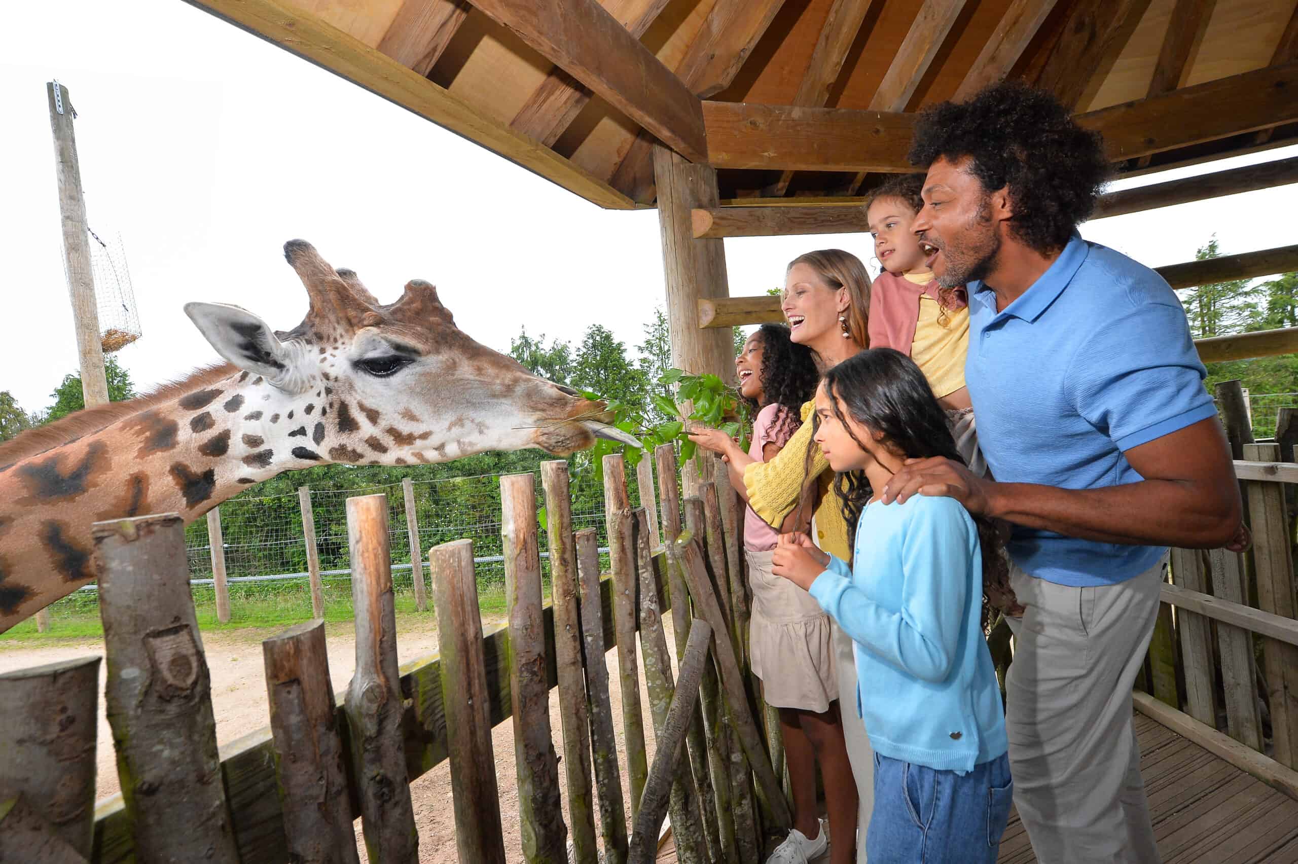 Feed Our Animals Experience at Twycross Zoo