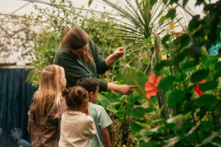 The Gruffalo Discovery Land at Twycross Zoo
